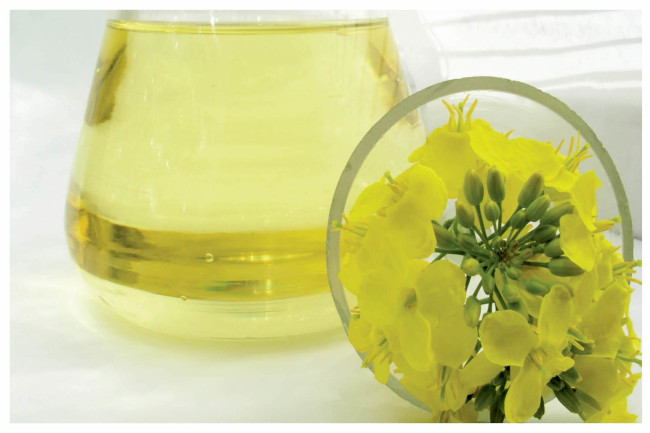 Essential Oils - Novachem Aromatici